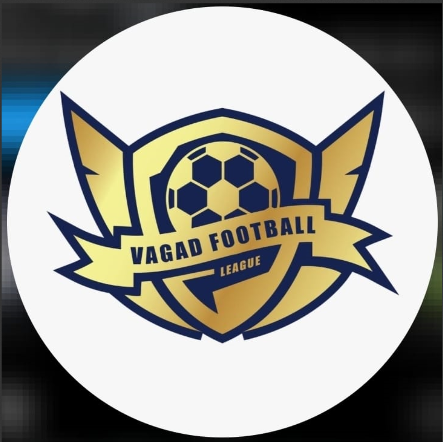 Vagad Football League